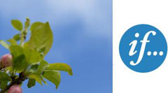 If P&C Insurance increased profits in the Baltic States by nearly a ...